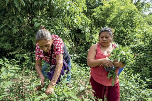 WFP | The State of School Feeding Worldwide 2022