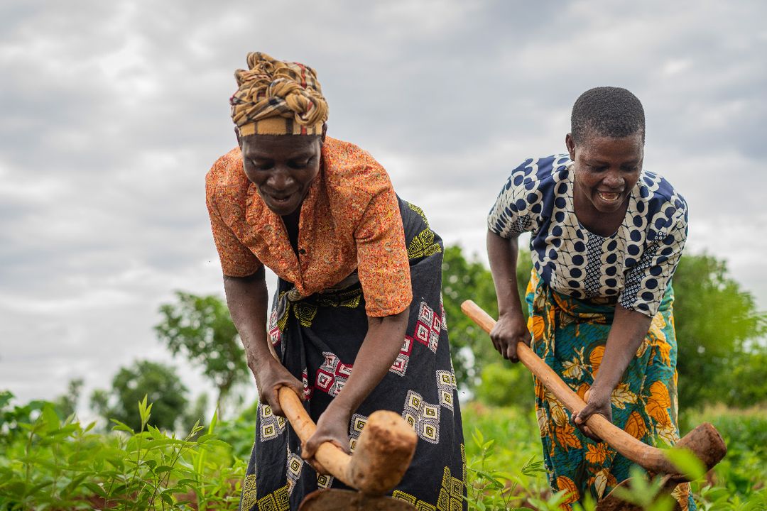 WFP | The State of School Feeding Worldwide 2022
