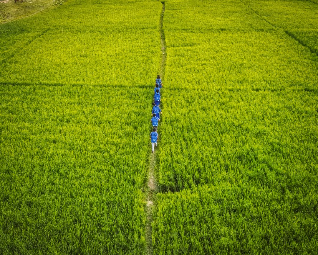 WFP | The State of School Feeding Worldwide 2022